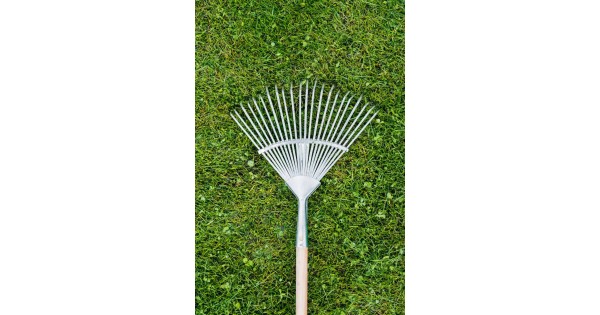 Spring Rake